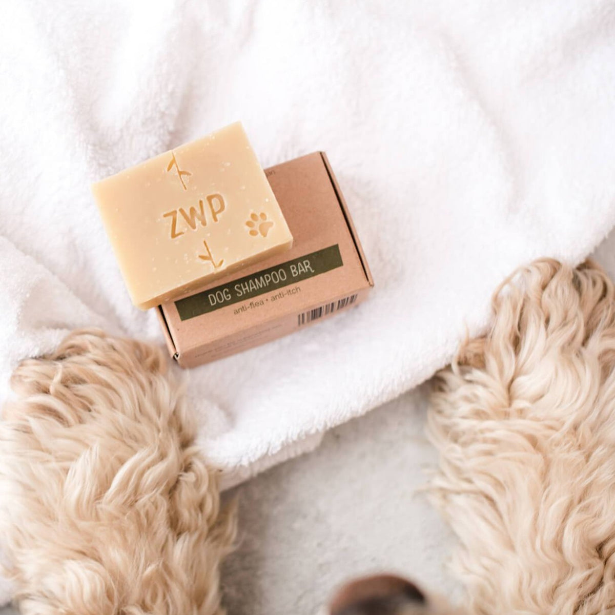 Zero Waste Path | Life Before Plastic